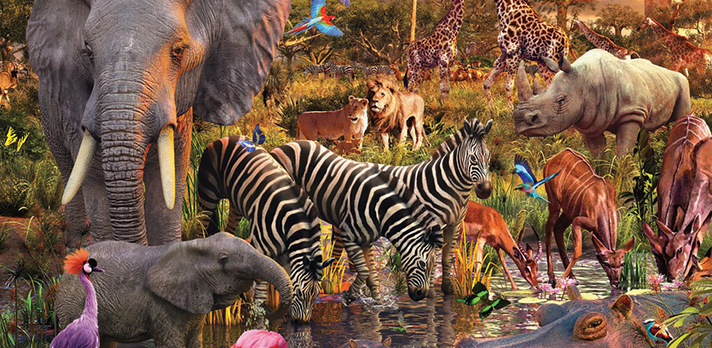 Comment les Animaux Sauvages Font-Ils Face au Stress